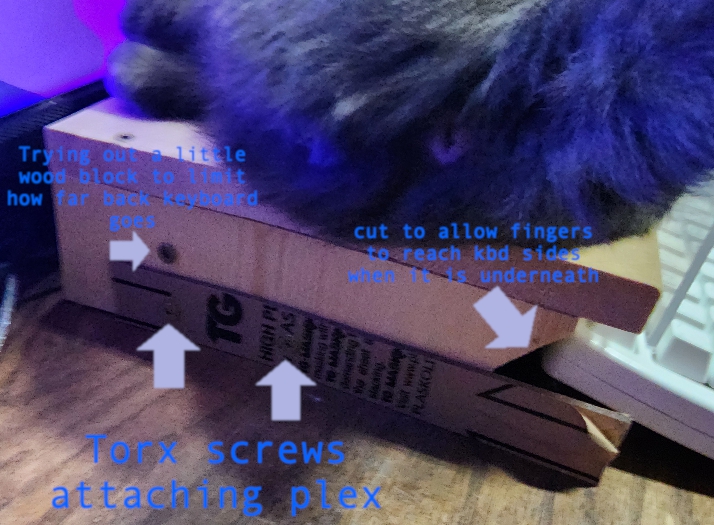 Managing the Keyboard Stomper : r/WhatsWrongWithYourCat